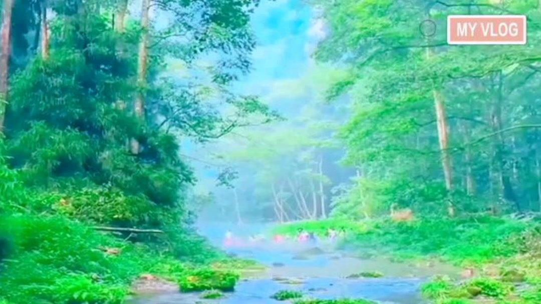 张家界三日自由行旅游攻略!第一天必玩景点及行程攻略大全!