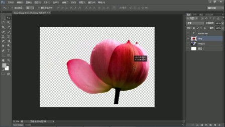 如何用ps美白皮肤 ps皮肤质感 ps作品