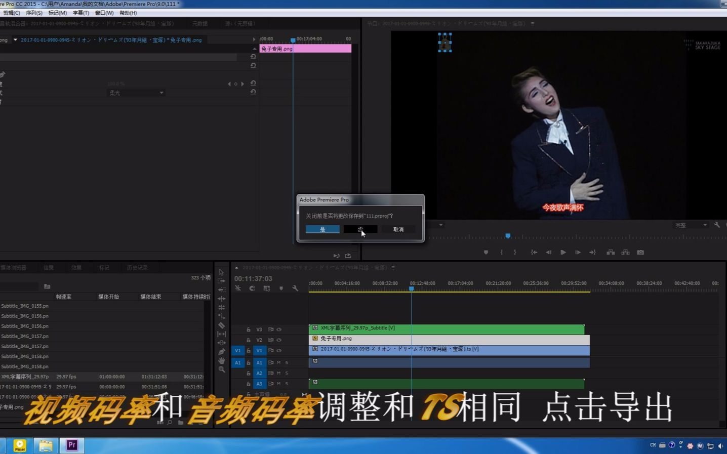 【海景房字幕组】TS直接压制字幕教程