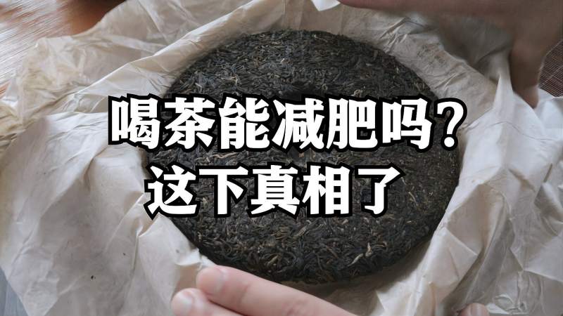 喝普洱茶能不能减肥?10年喝茶经验过来人告诉你,真相到底是什么