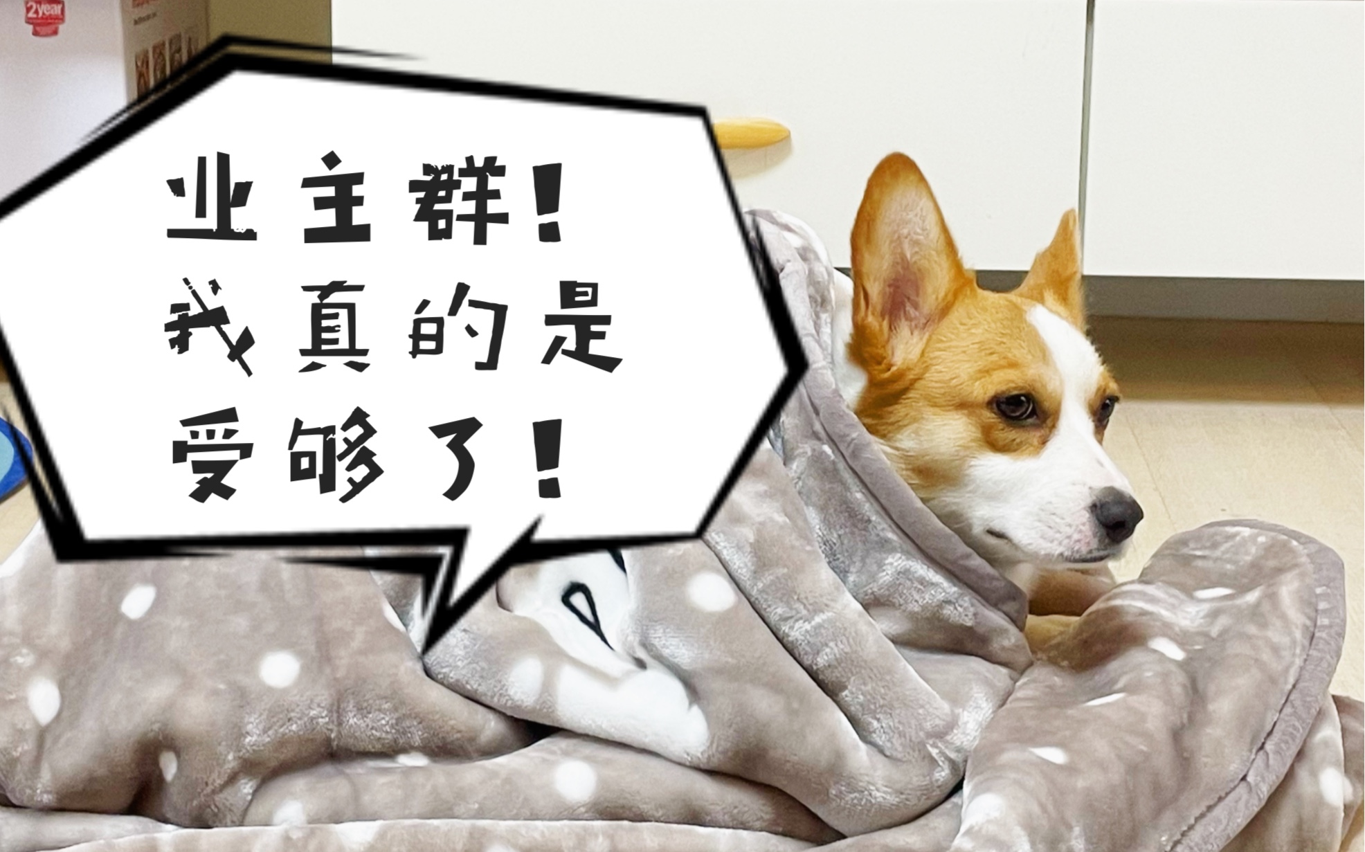 业主群|物业群|实在忍不了了|不得不吐槽!为什么有业主群这么令人讨厌...
