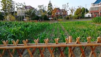 实地带你看看上海新农村现在是什么样子,几年间变化真的大