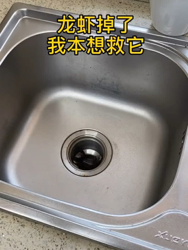 有了这个疏通器,家里的下水道再也没有堵过了!