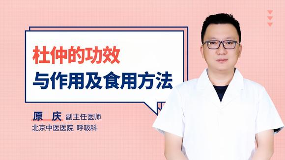 杜仲的功效与作用及食用方法