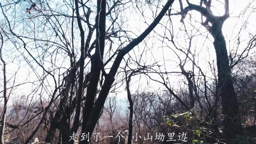 老片新更,棺材山,神秘大溶洞 上山发现野生猴群和满地垃圾。.