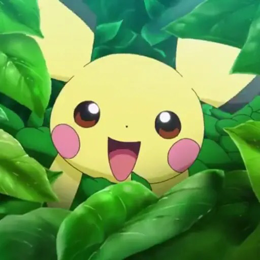 哔哩哔哩哔丶bi 