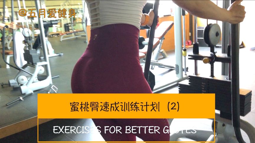 蜜桃臀训练计划2(字幕版)健身房器械臀腿翘臀臀部塑形训练动作