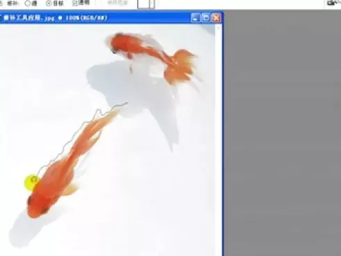 Photoshop CS4 完全自学教程之修补工具的使用