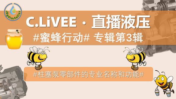 #蜜蜂行动# | 柱塞泵零部件的专业名称及功能 (三)