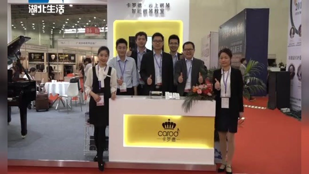 湖北电视台——2018年第六届中国(武汉)国际乐器展盛大举行