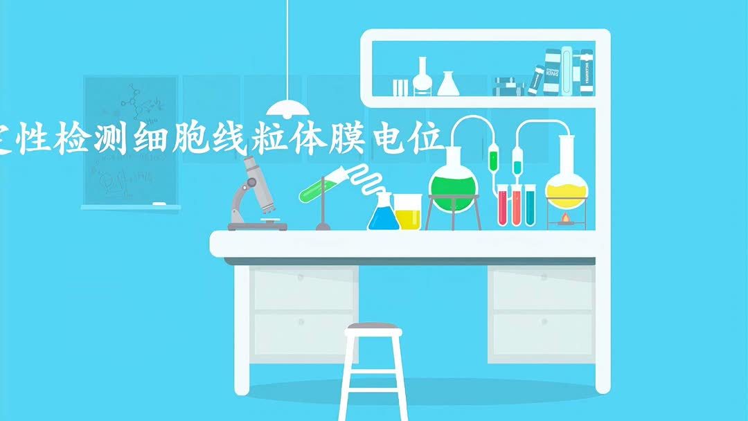 活动 定性检测细胞线粒体膜电位