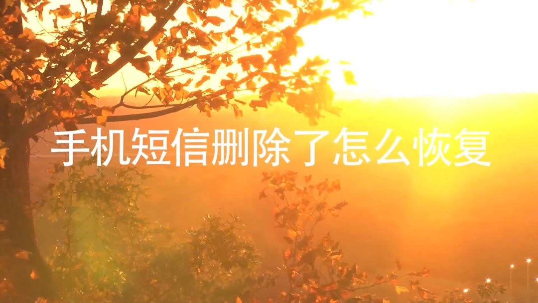 手机短信删除了怎么恢复?看看大家怎么做
