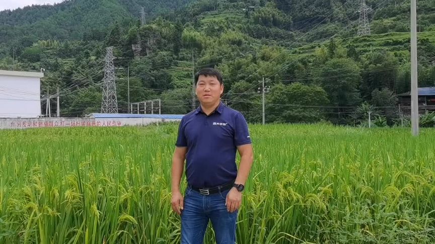 我为安全科学使用农药代言!——西大华特高级推广经理何海强ߑ