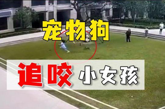 被狗追咬30秒,小女孩无助乱跑摔伤,狗主人一旁淡定围观