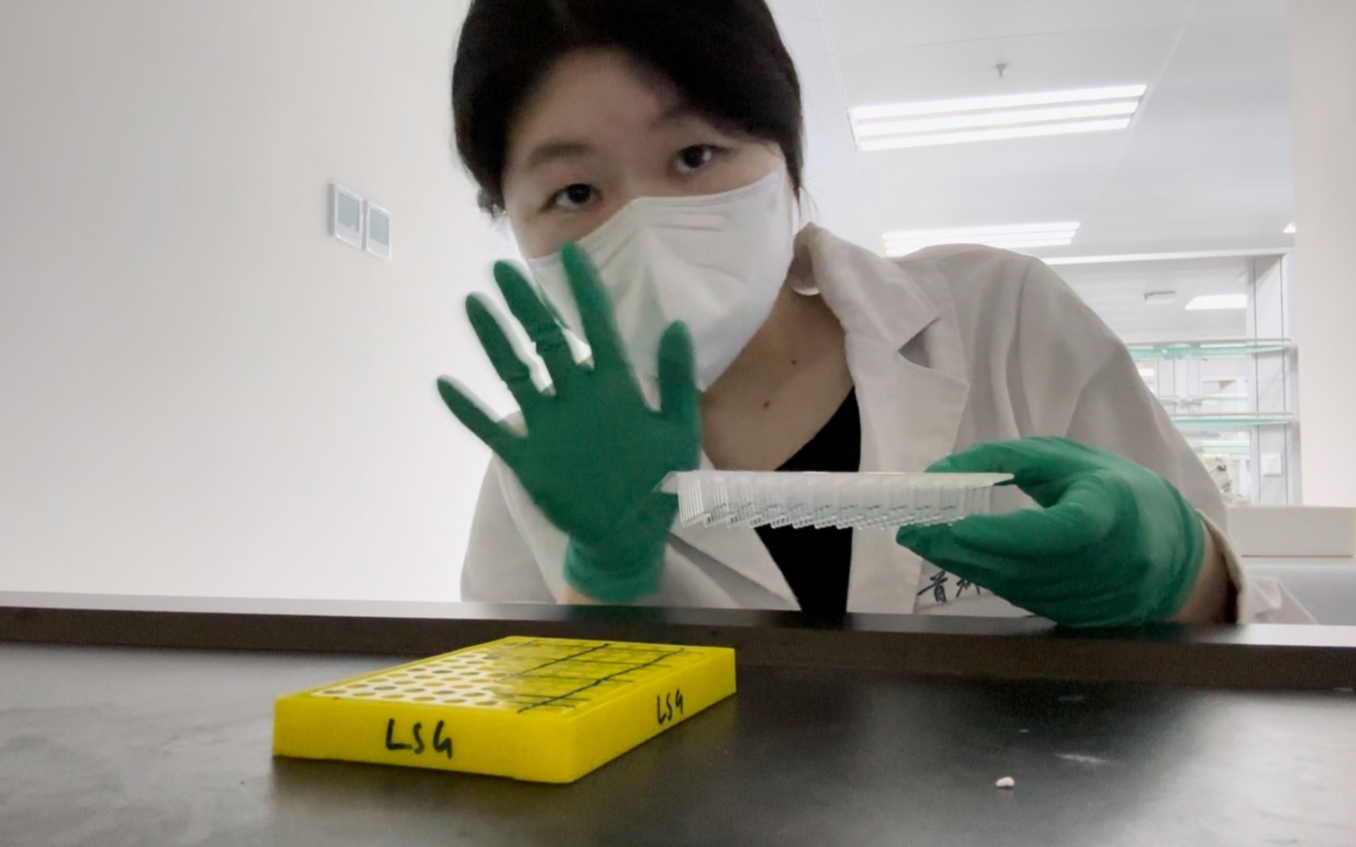 大五实验室小白的日常/qPCR如何加样均匀的一点Tips