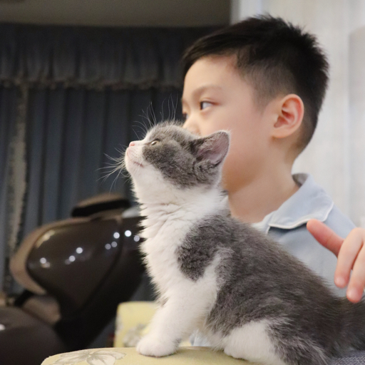 萌宝Harry 
