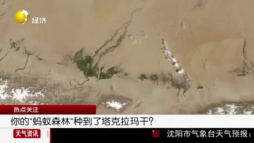 卫星图显示塔克拉玛干沙漠在变绿,你的“蚂蚁森林”种到了这?