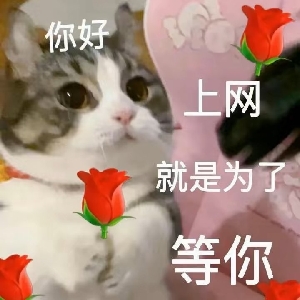 AAA钢板批发商白哥 