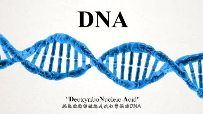 在家就能提取DNA,看完了视频,原来是这个原理!
