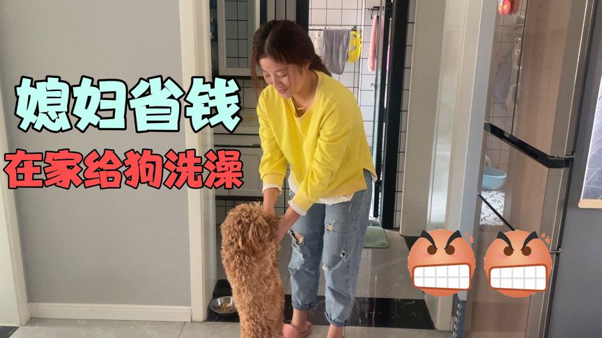 洛阳小媳妇为了省钱,自己在家给宠物狗洗澡,看看洗完啥样