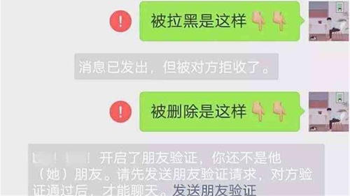 刚刚才知晓,微信拉黑和删除的区别原来这般大,以后别瞎用得罪人