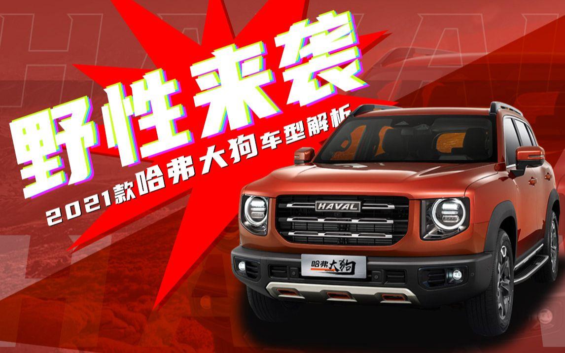 【购车300秒】野性来袭 2021款哈弗大狗车型解析