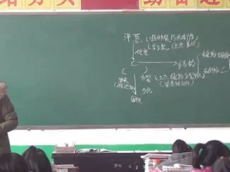 高碑店 生物 白琨莎 初三 生物体结构层次复习课