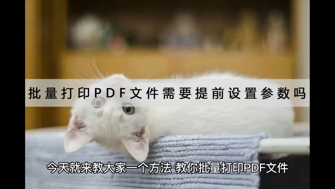 批量打印PDF文件需要提前设置参数吗?点进来看看