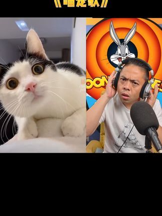 《喵宠歌》#烧包谷方言歪歌 #可爱搞笑的猫咪视频 #猫要成精了