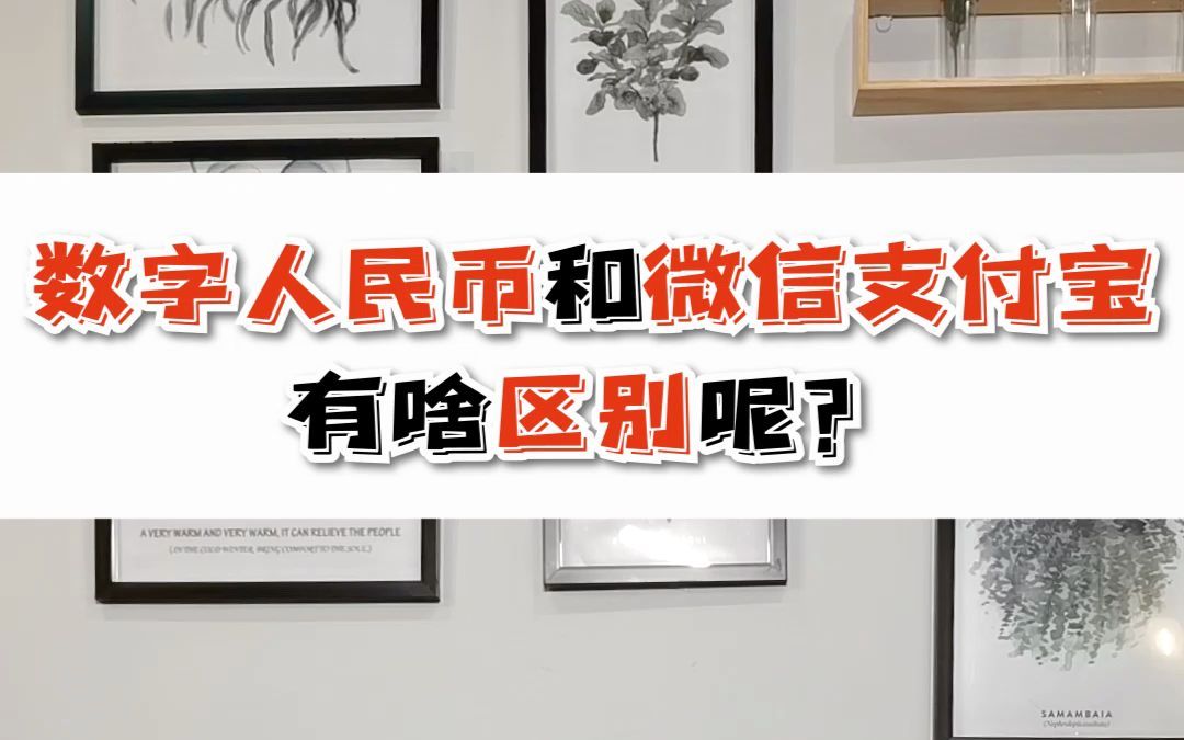 数字人民币和微信支付宝有啥区别?
