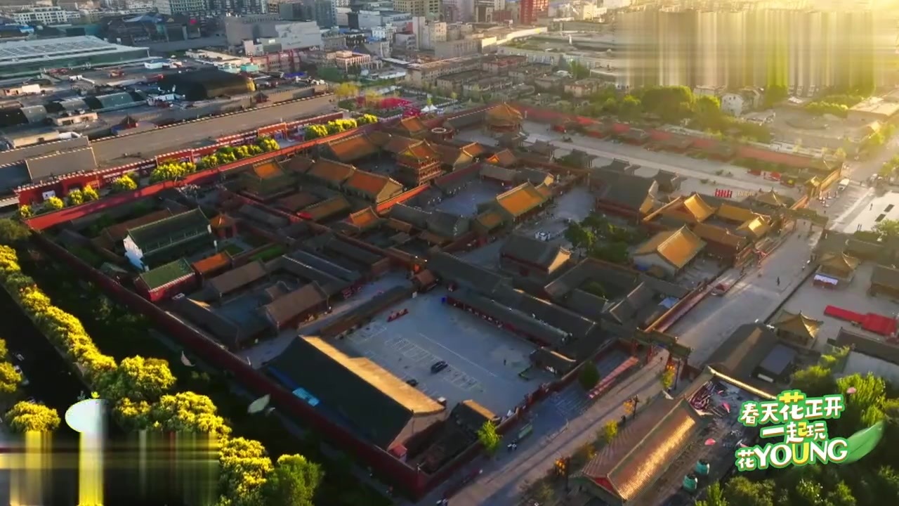 花YOUNG混剪来"辽"!探索沈阳,感受大连,辽宁等你来