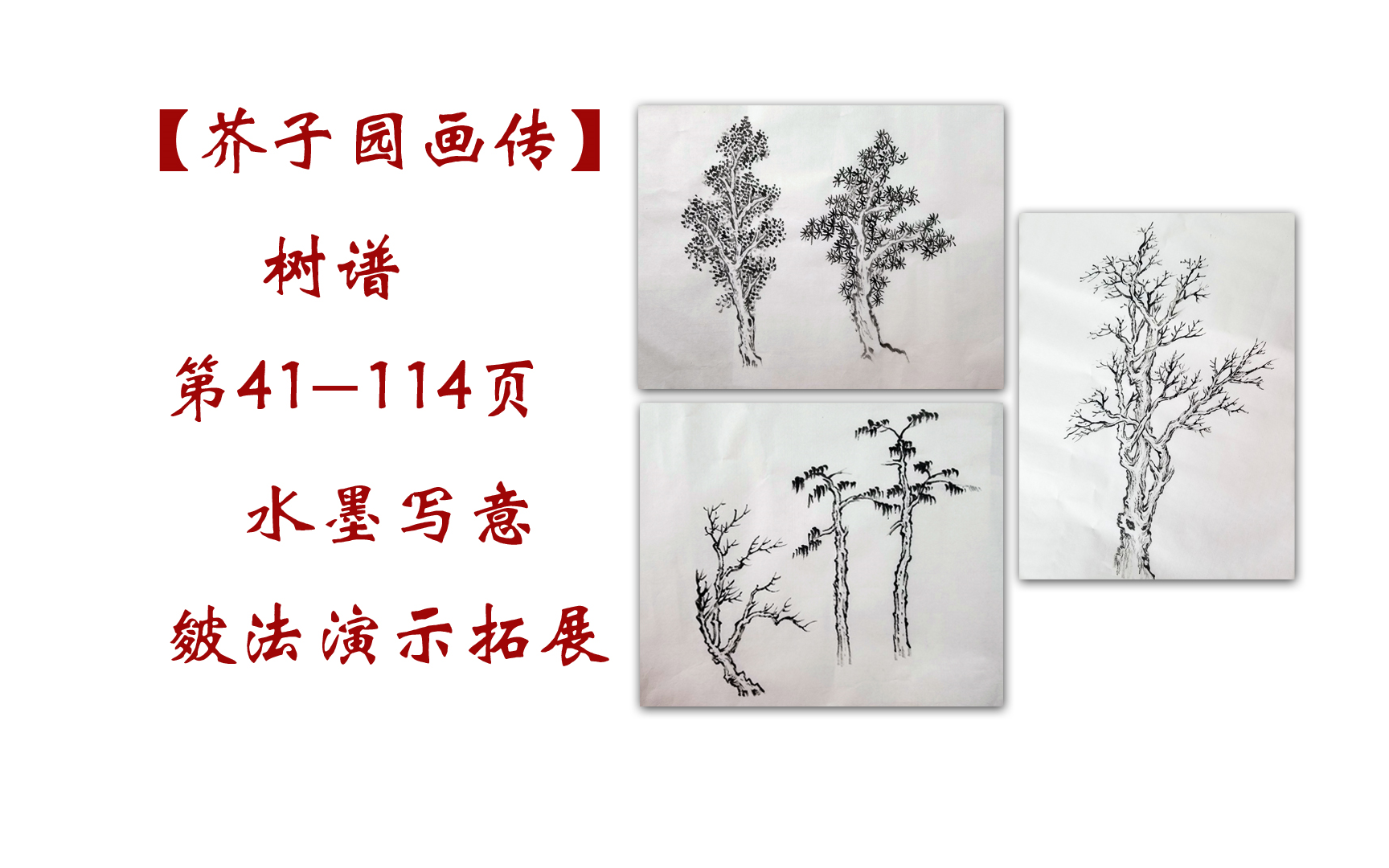 【芥子园画传】第41-144页《树谱》怎样画树 水墨写意演示 国画 山水画