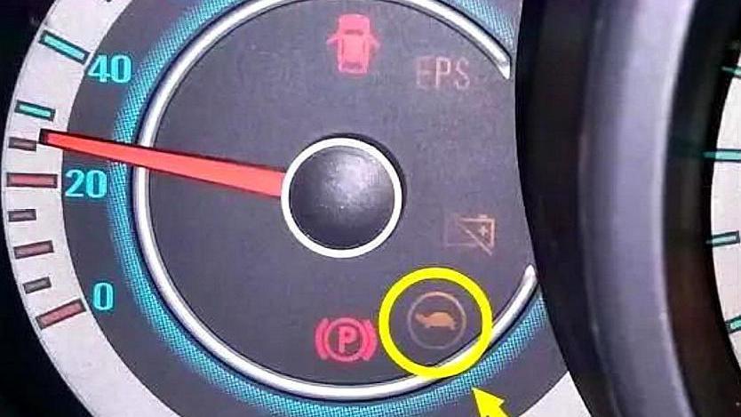 女司机:仪表盘上亮起的小乌龟啥意思?修车工:.