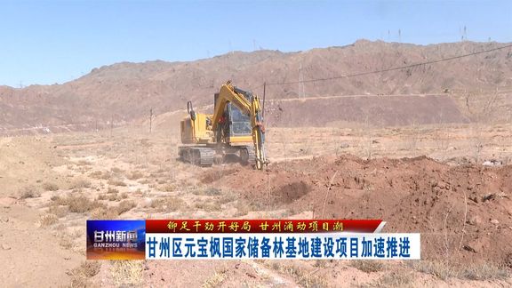 甘州区元宝枫国家储备林基地建设项目加速推进