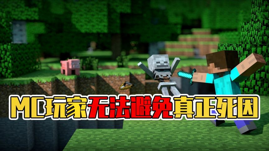 我的世界:MC老玩家死亡原因大排行!最后一个老玩家感同身受
