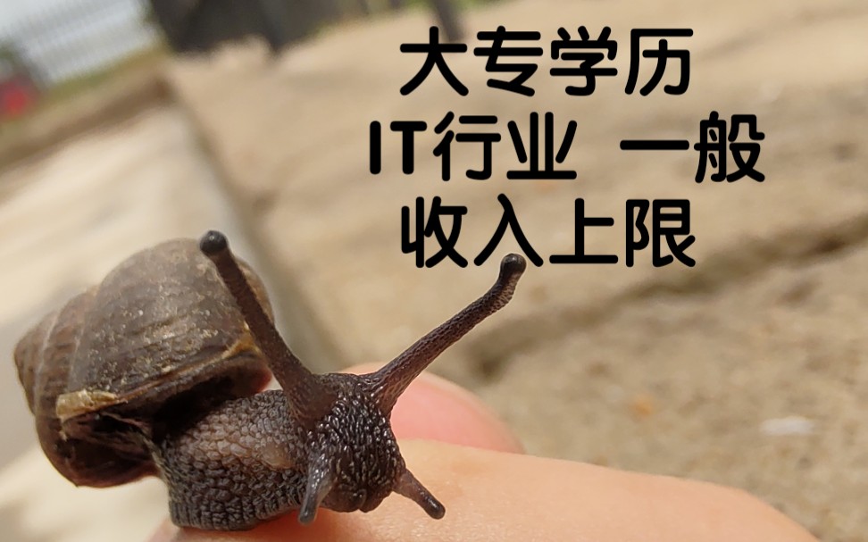 我发展遇到瓶颈了,大专学历的计算机工程师咋个突破哟