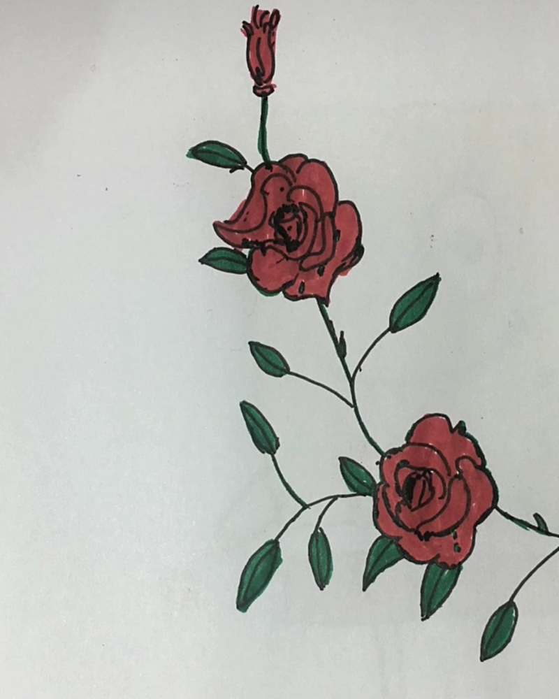 一幅简单易学的美术绘画儿童家长一看就能学会的简笔画教程玫瑰花