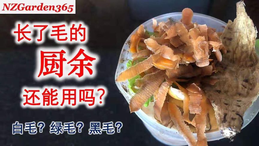 厨余肥答疑解惑,怎样的厨余肥才算发酵好了?