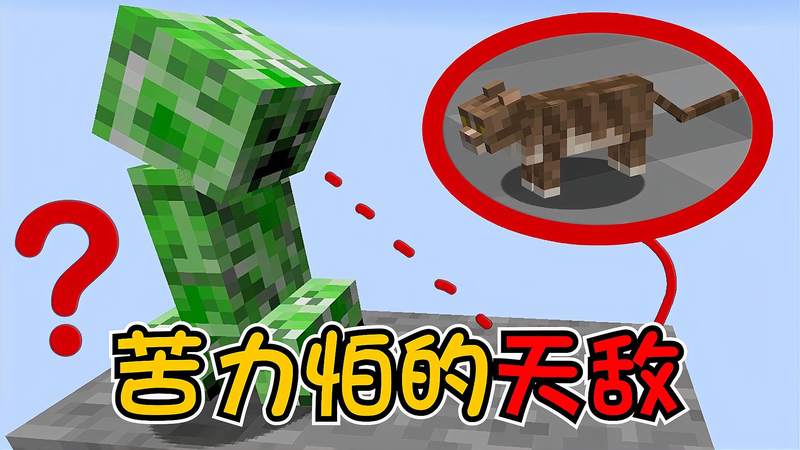 我的世界:苦力怕与各种猫咪的有趣试验,没有想到最后胜利的是它