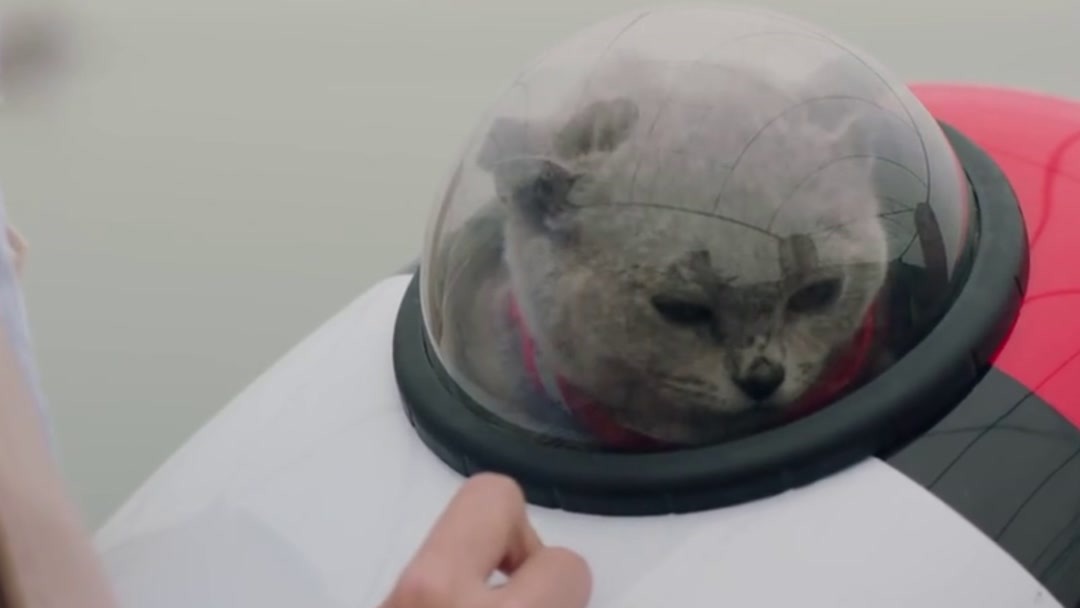 《入住请登记》夜里车发生了自燃 不过小猫安然无恙