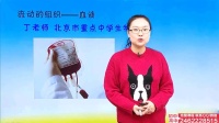 简单学习网 专题 流动的组织——血液