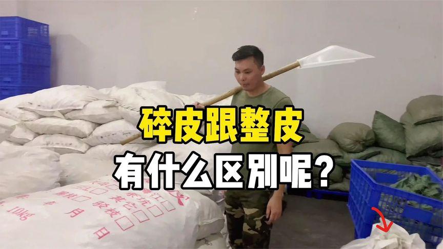 养生的茶友都知道,陈皮是个好东西,加它泡水喝,功效都翻倍!