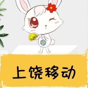 移动公司的小菜花 
