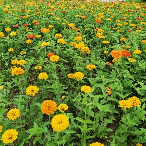 开心快乐的人123 