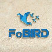 手工FoBIRD 