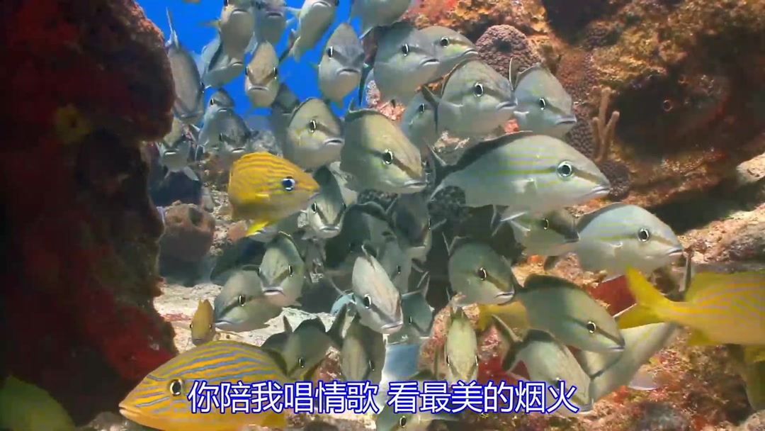 凤凰传奇唱的歌曲《郎的诱惑》美不胜收,细致动人,回味依旧!