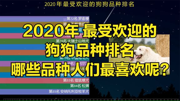 2020年 最受欢迎的狗狗品种排名, 哪些品种人们最喜欢呢?