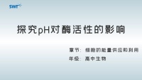 【高中生物】探究pH对酶活性的影响