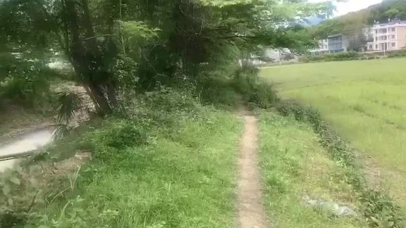 #我要上头条# #咱家真有矿#家乡处处是美景