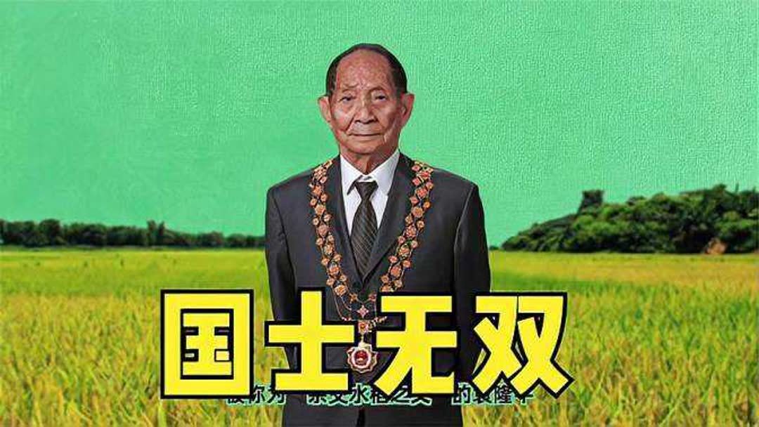 怀念杂交水稻之父袁隆平,国之重器,一粒种子改变了世界